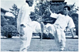 AWA documento